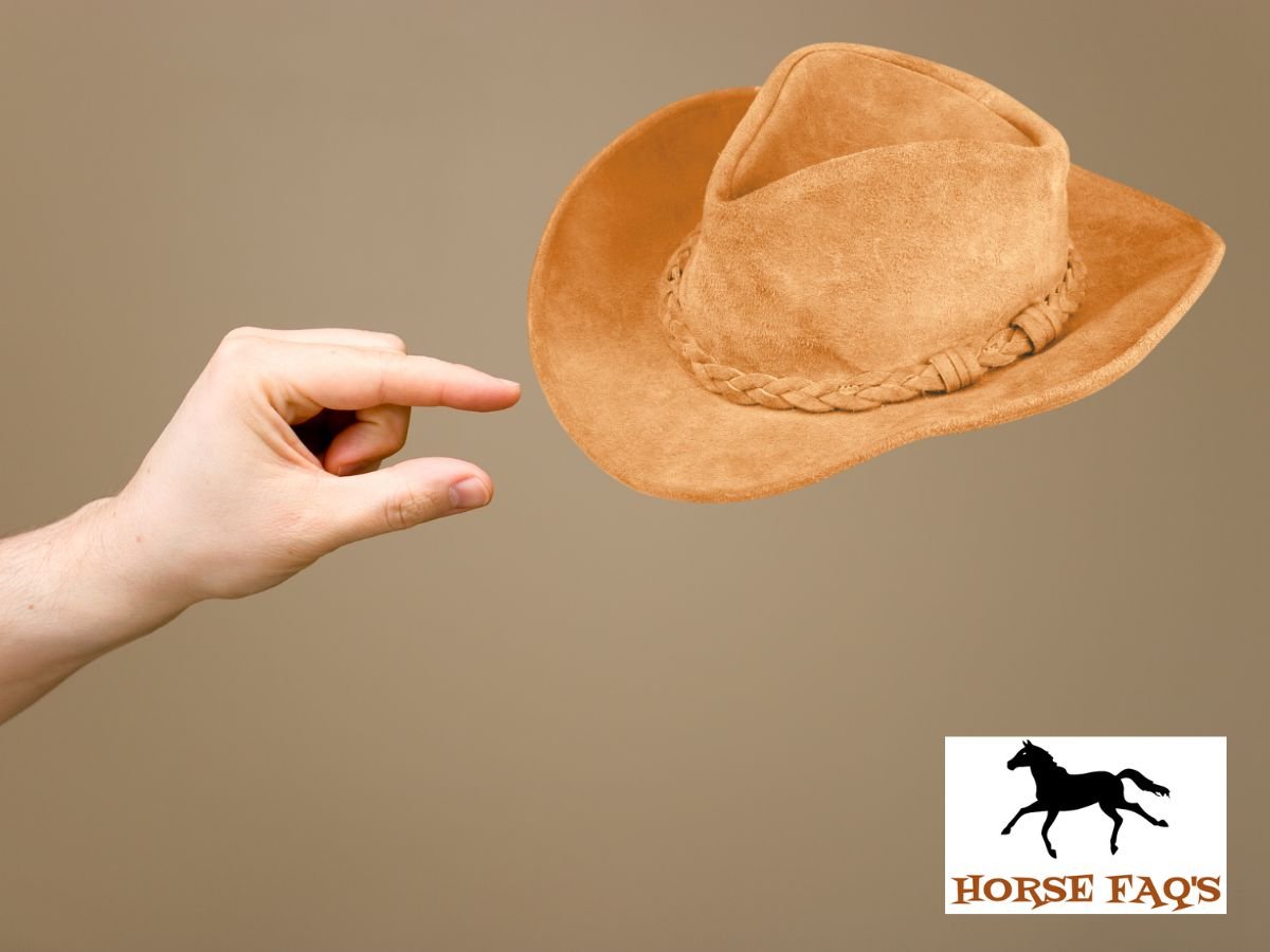 Cowboy Hat Guide: Different Cowboy Hats, Purposes, & Dimensions – Horse ...